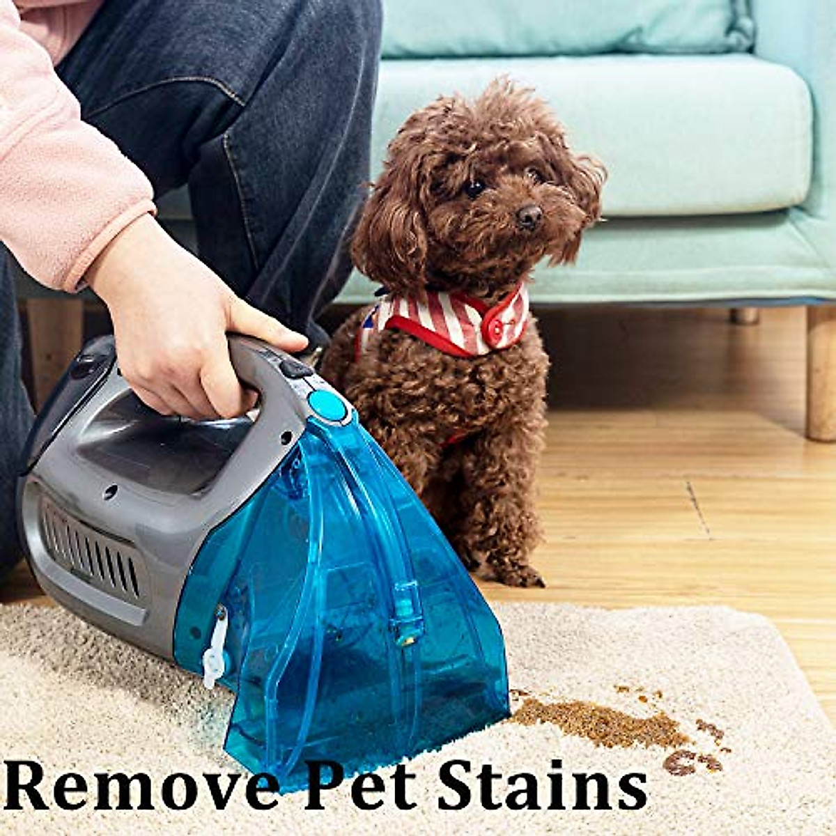 Hausmeister Spot Cleaner Pet Stain Eraser Carpet Cleaner P005C