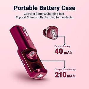 233621 Droplet True Wireless Bluetooth Earbuds, IPX5 Waterproof, CVC 6.0 Call Noise Cancelling, Touch Control, Stereo Sound, Lightweight Earphones for Home, Office and Gym (Wine Red)