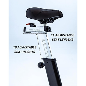 Fringe Sport Raptor Air Bike Classic, Adjustable Seat Fan Bike for Indoor and Outdoor-Exercise Bike with Arm Workout for Cardio Fitness, LCD and Phone Holder