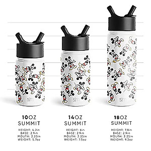 Simple Modern Disney Lady and the Tramp Kids Water Bottle with Straw Lid | Reusable Insulated Stainless Steel Cup for Girls, School | Summit Collection | 18oz, Lady and the Tramp