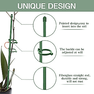 MIALEXO Plant Stakes,Plant Support Stakes Suitable for Indoor and Outdoor Plants,19Pcs Green Plant Stick Support Potted Tomato Peony Lily Rose and Other Plants Floral Vegetable(17.6-18inches)