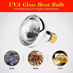 HANJION 100W Reptile UVA Infrared Basking Spot Lamp,Full Spectrum Sun Soft Lighting Heat Bulbs,Bearded Dragon Light Bulbs for Reptile & Amphibian,Silver-2 Pack