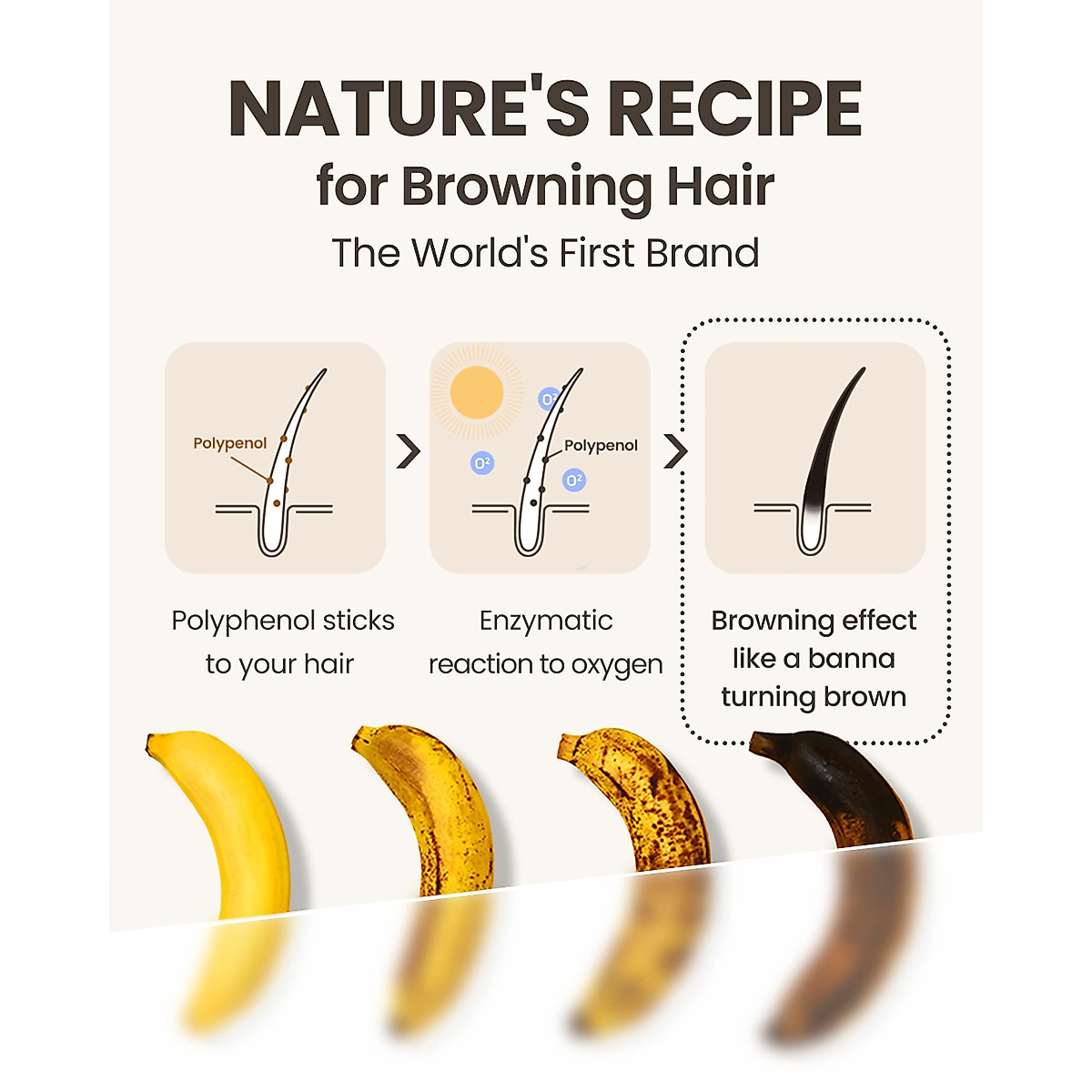 MODA Pro-Change Black Shampoo | Korean Hair Darkening, Volumizing & Anti-Hair Fall Shampoo | Paraben & Sulfate Free, Natural Formula for Thicker, Fuller Hair (10.5 oz)