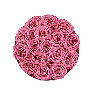 Eterfield Preserved Roses That Last a Year Eternal Rose in a Box Real Rose without Fragrance Gift for Her (Pink Rose, Round White Box)