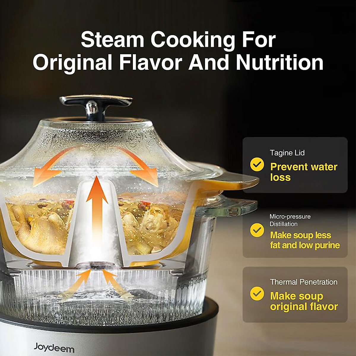 Joydeem Electric Glass Steam Cooker, Ceramic Tagine Pot for Soup, Hot Pot, Seafood, Multi-use Chinese Stew Pot, JD-ZQG9099