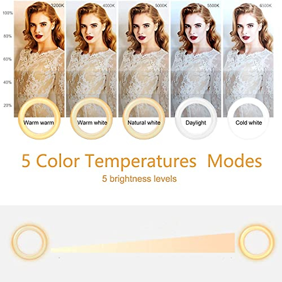 Video Conference Lighting Kit 3200k-6500K Dimmable Led Ring Lights Clip on Laptop Monitor for Remote Working/Zoom Calls/Self Broadcasting/Live Streaming/YouTube Video/TikTok (Black)