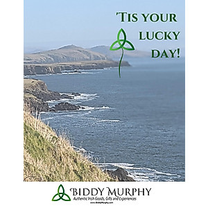 Biddy Murphy, Irish Trinity Knot Earrings for Women, 925 Sterling Silver, Connemara Marble Inlay, Elegant Celtic Jewelry Imported from Ireland's Finest Artisan Jewelers