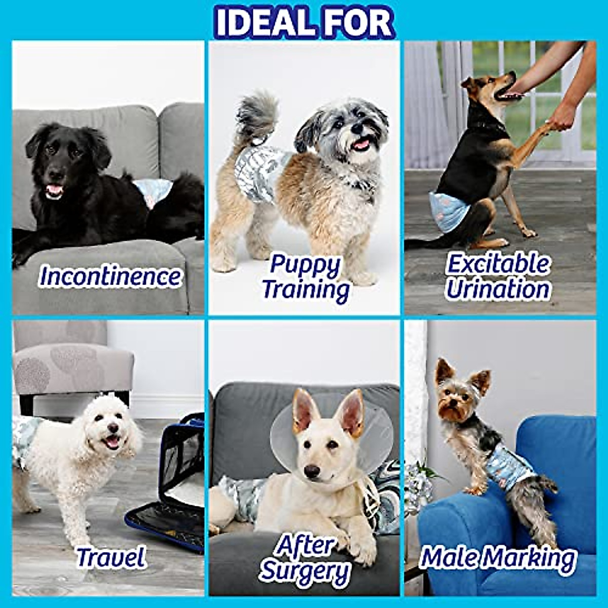 Disposable Male Dog Wraps with FlashDry Gel Technology, S 40 count