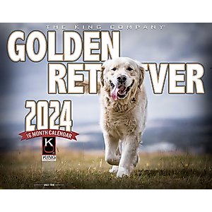 2024 Golden Retriever Wall Calendar 16-Month X-Large Size 14x22, Best Golden Retriever Dog Calendar by The KING Company-Monster Calendars