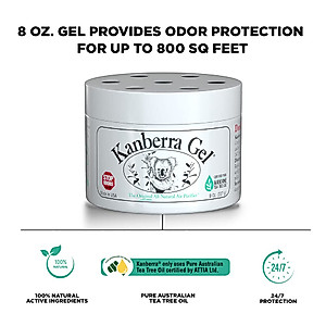 KANBERRA GEL 524003 Natural Air Purifier Gel, 8-Ounce