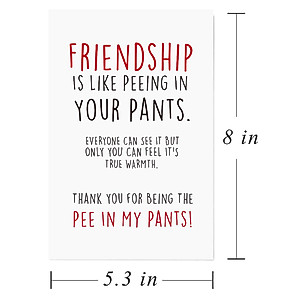 Gonzey Funny Best Friend Birthday Cards,Friendship Is Like Peeing In Your Pants