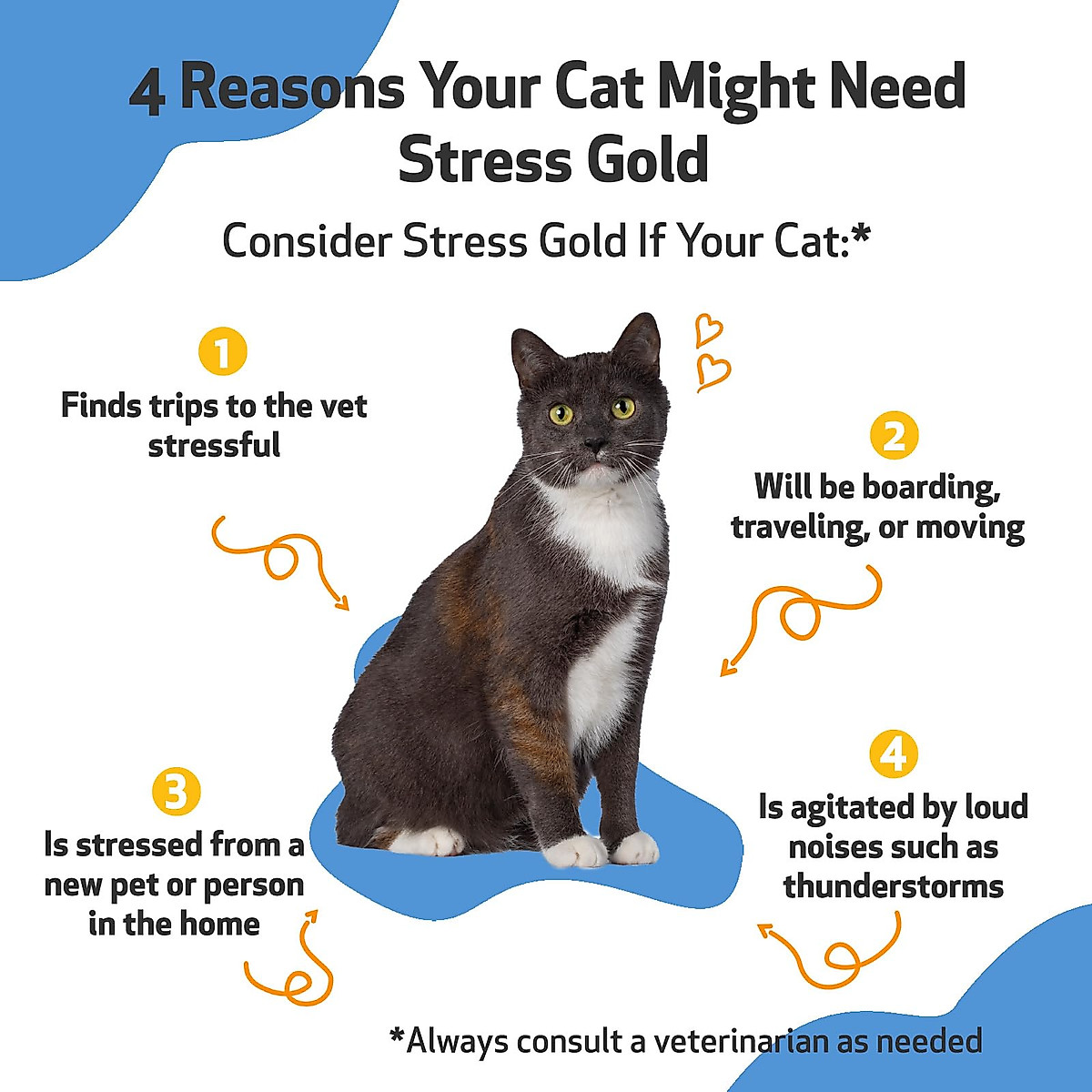 Pet Wellbeing Stress Gold for Cats - Occasional High Stress and Restlessness, Supports Relaxation, Travel, Vet Trips, Skullcap, Valerian - Veterinarian-Formulated Herbal Supplement 2 oz (59 ml)