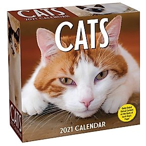 Cats 2021 Day-to-Day Calendar