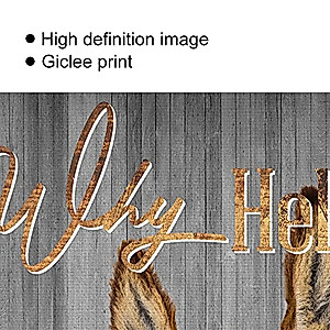 Donkey Bathroom Canvas Wall Art, Why Hello Sweet Cheeks Sign, Funny Animal Bathroom Picture for Wall, Wrapped Canvas Print Decor for Wall Washbasin Shelf, 10.6x13.7 Inch