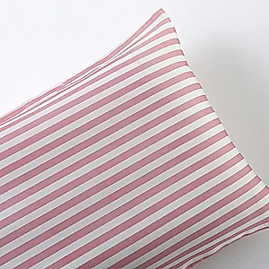 Tim & Tina 22 Momme 100% Pure Mulberry Luxury Silk Pillowcase, Good for Skin and Hair, Facial Beauty (Toddler/Travel, Pink and White Stripes)