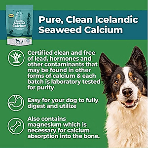 Animal Essentials Seaweed Calcium Supplement for Dogs & Cats, 12 oz, Iceland Seaweed Magnesium, Boron, Zinc