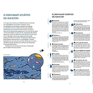 Los mundos invisibles de los animales microscópicos (El libro Océano de…) (Spanish Edition)