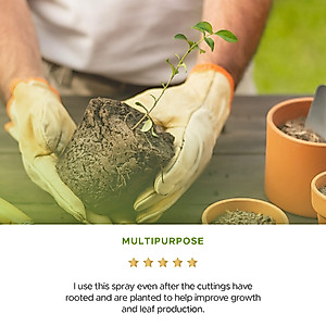 Rooting Plant Spray for Cloning - Root Starter for Plant Cloning Kit - Stimulate Root Growth for Cuttings - Indoor Plant Food and Nutrients for Plant Growth - Cloning Succulents Cuttings