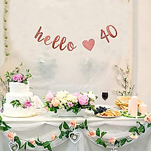 Glitter Hello 40 Birthday Banner - Great for 40th Birthday Wedding Party Decorations - Funny Forty Birthday Sign Party Decor