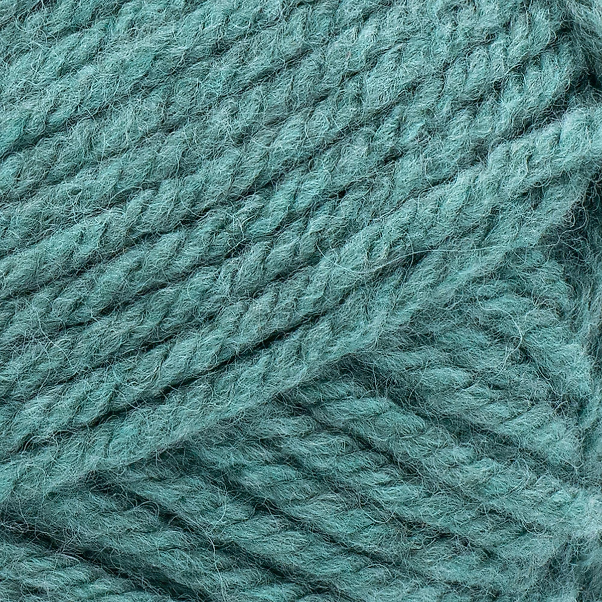 Lion Brand Yarn Hue & Me Bulky Yarn, Agave, 1 Skein