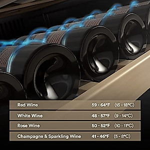 Everdure 46 Bottle Luxury Wine Cooler & Beverage Refrigerator, Built in or Free-Standing, Dual Zone, Stainless Steel with Reversible Glass Door, Beech Wood Shelves and LED Display Touchpad