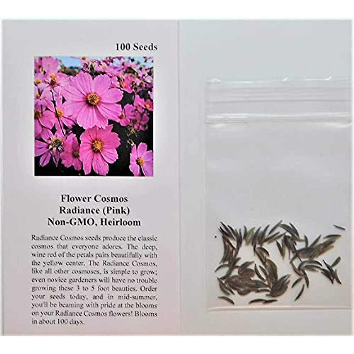 David's Garden Seeds Flower Cosmos Radiance 5455 (Pink) 100 Non-GMO, Heirloom Seeds