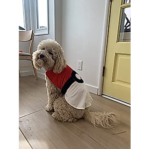 ComfyCamper Red and White Dog Costume - X Large Medium Small French Lab Retriever Pet Cosplay Halloween Costumes Ball (Medium, Cape)
