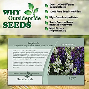 Outsidepride Angelonia Serena Waterfall Summer Snapdragon Garden Flower Seed Mix - 30 Seeds