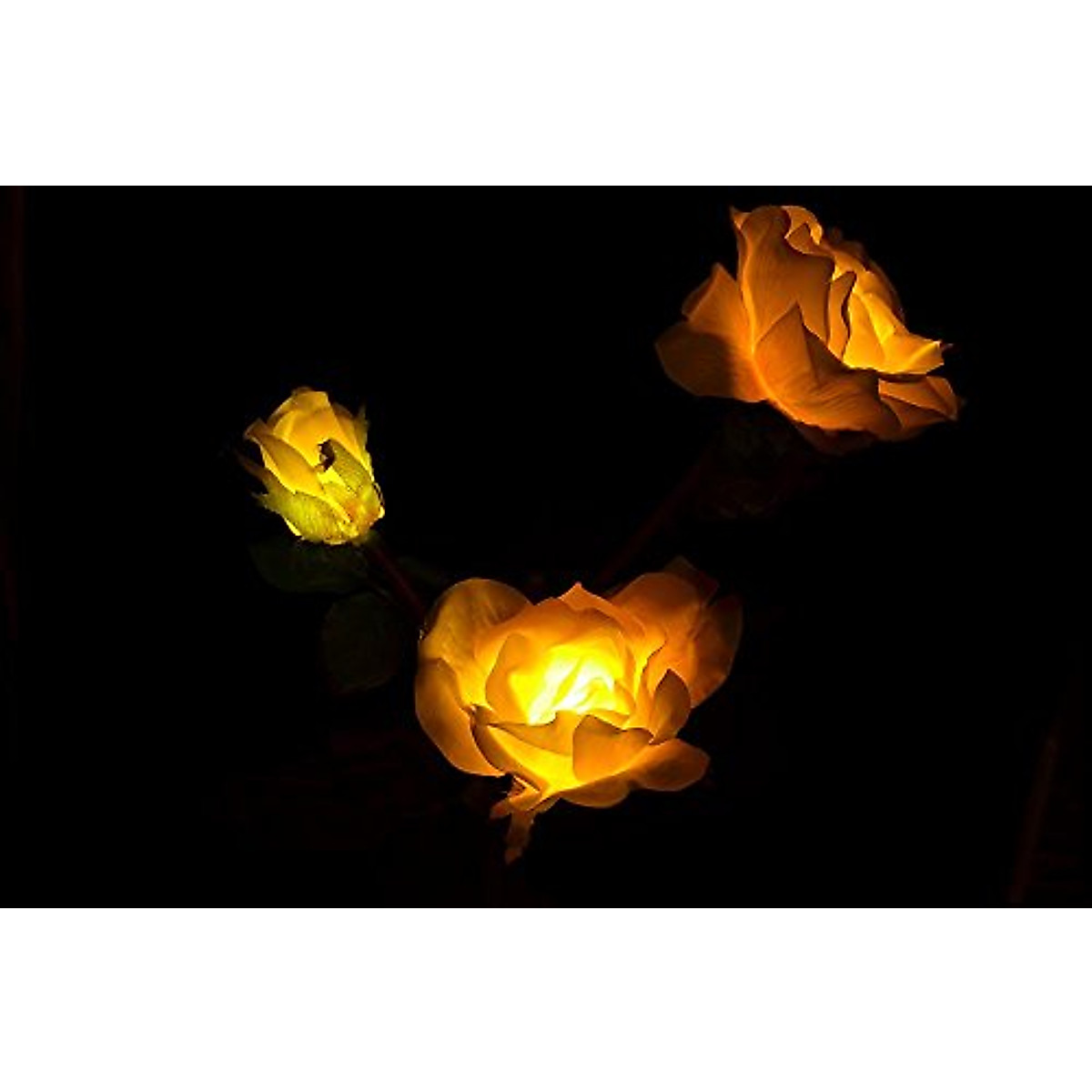 Solaration 1039-Y Waterproof 3 Rose Solar Powered LED Garden Lights, Solar Path Lights for Patio Deck Driveway Christmas Party, Yellow