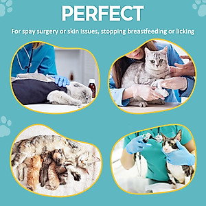 Avont Cat Recovery Suit - Post-Surgery Onesie for Cats, Alternative to Cone of Shame, Protective Spay Suit for Female Kitten, Ideal for Healing and Skin Conditions -Mintgreen(M)