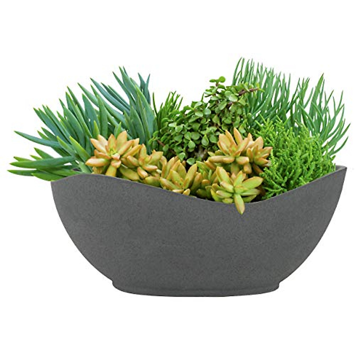 Classic Home and Garden Arc Pot 12" - Concrete