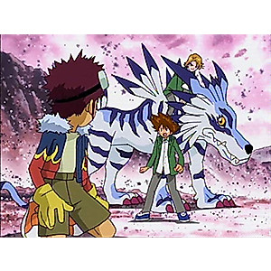 Digimon Adventure - Staffel 2.1 (Ep.1-17) ohne Schuber (3 DVDs)
