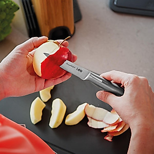 Berghoff Legacy Stainless Steel Paring Knife 3.5", Sharp Blade, Ergonomic Hollow Handle, Cutting Slicing Peeling Fruit Vegetable Fish, Seamless Construction