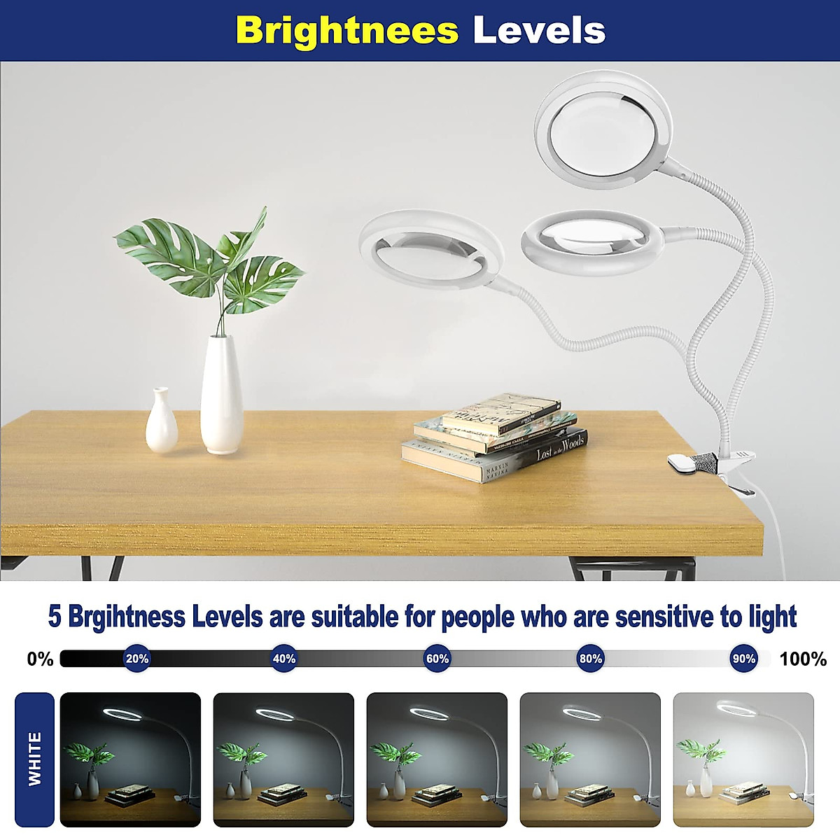 Delixike Magnifying Glass with Light and Stand, 3X Magnifier with Clam, Desk Magnifying Lamp for Crafting, Reading, Sewing, Hobbies, Close Work