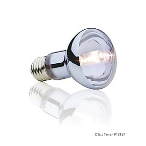 Exo Terra Sun Glo Daylight Halogen Lamp, 25-Watt