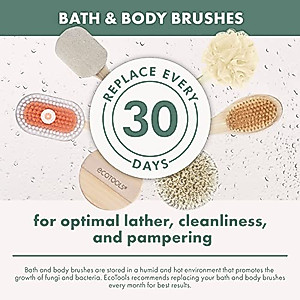 EcoTools Dry Body Brush, For Post Shower & Bath Skincare Routine, Removes Dirt & Promotes Blood Circulation, Helps Reduce Appearance of Cellulite, Eco-Friendly, Vegan & Cruelty-Free, 1 Count