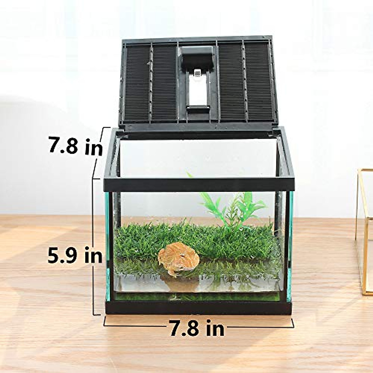 crapelles Pac Frogs Glass Terrarium Feeding kit Tank, Waterproof,for Small Amphibians, Insect, Horned Frogs. Waterweed / Prairie Style Habitat,with Green Artificial Turf Pad, (excluding Animals)