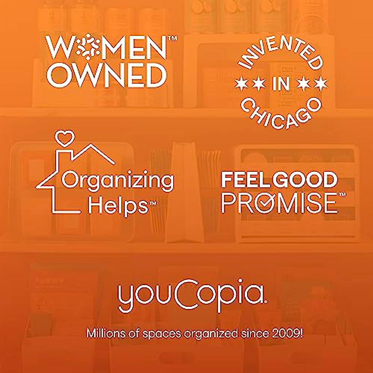 YouCopia ShelfBin Packet Organizer, 4-Tier Stairstep Raised Divided Bin, BPA-Free Storage Caddy for Kitchen Pantry and Cabinet Organization, Tea Bags, Medicine, and More