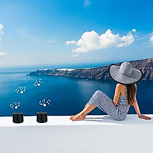 HOAIYO Portable Bluetooth Speaker with Travel Case, 6H Playtime, Mic, TWS Wireless Speaker for iPhone, Andriod & iOS for Travel Camping Gift