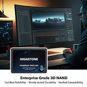 Gigastone Enterprise SSD 1TB NAS SSD Drive Cache (2-Pack) 24/7 Durable TLC High Endurance Business Server Data Center RAID Network Attached Storage 2.5" SATA Internal Solid State Hard Drives