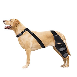 Generic Dog Knee Brace Leg Braces - Dog Canine Knee Stifle Brace Wrap Dog Knee Brace for Torn ACL Hind Leg Joint Pain Muscle Sore Pet Brace Reduces Pain and Inflammation (M), Medium, Black