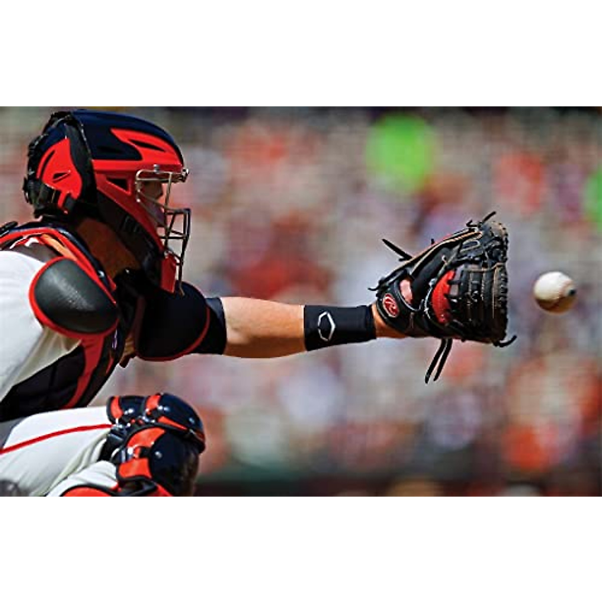 28: A Photographic Tribute to Buster Posey