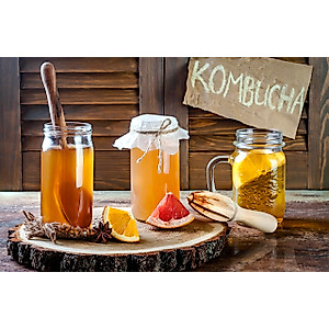 Wrap Around Kombucha Heater Belt | Propagate Pro Brewing and Fermentation Heat Mat Warmer | Keeps Your SCOBY Happy and Productive with Stickon Thermometer