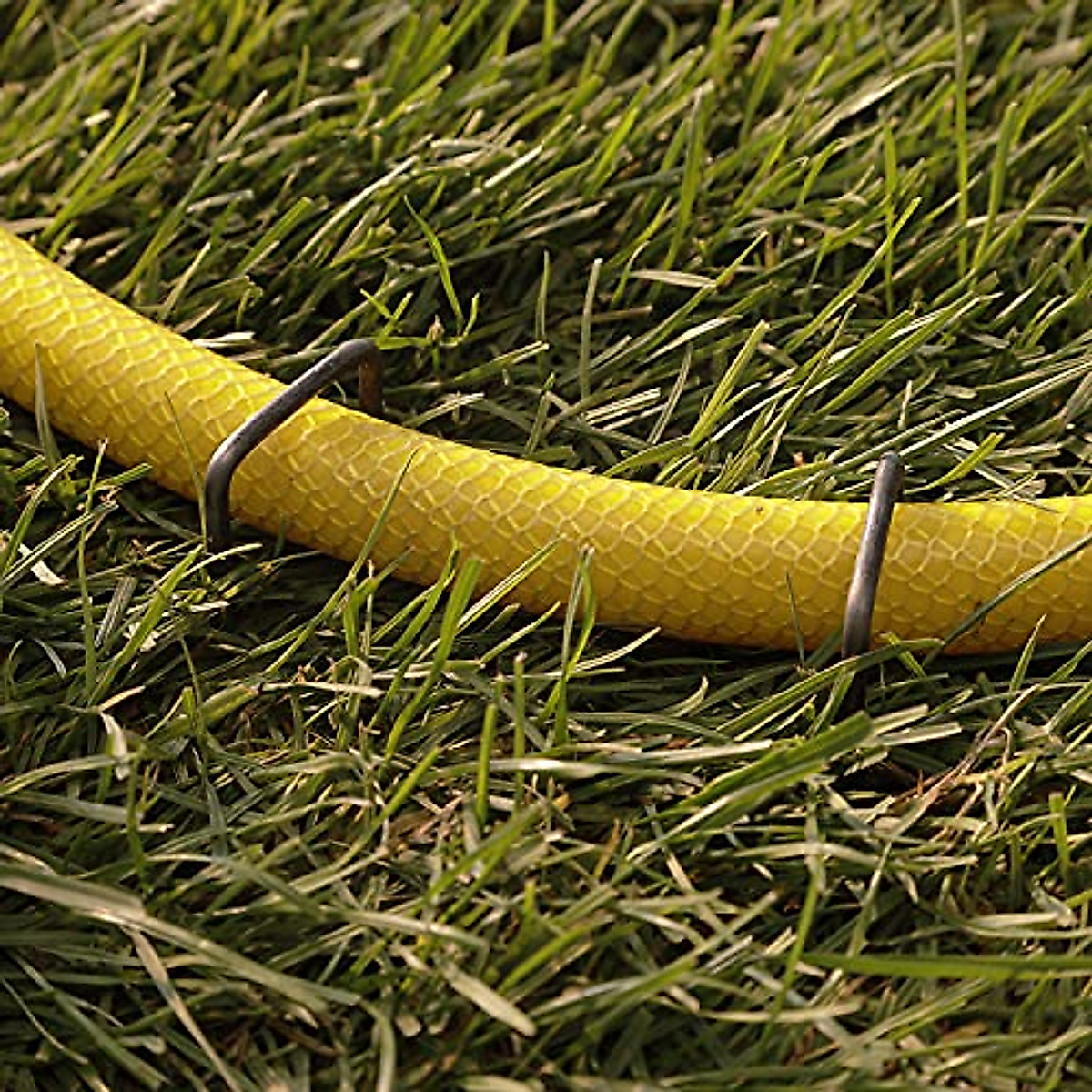 GardenMate 100-Pack 6'' 11 Gauge Heavy-Duty U-Shaped Garden Securing Stakes/Spikes/Pins/Pegs - Sod Staples for Anchoring Landscape Fabric