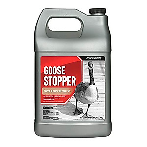 Messina Wildlife Goose Stopper Repellent - Safe & Effective, All Natural Food Grade Ingredients; Repels Geese and Ducks; Easy to Use, 1 Gallon Liquid Concentrate