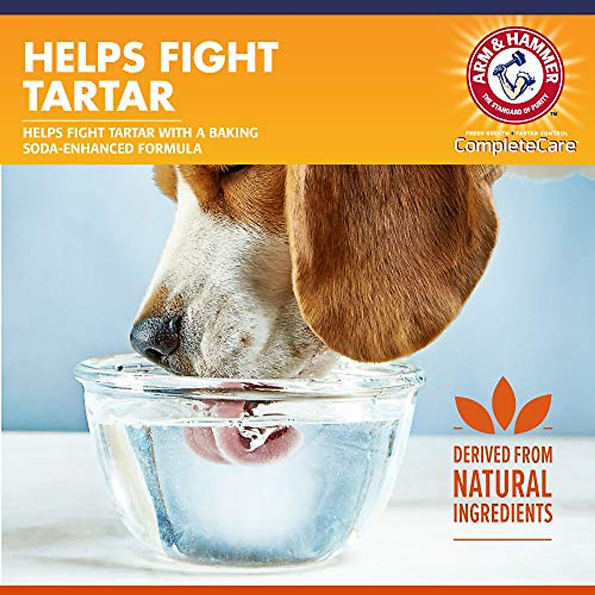 Arm & Hammer Complete Care Fresh Dental Water Additive for Dogs and Cats - Dog Water Additive, Dog Mouth Wash, Dog Dental Rinse, PetWater Additive, Cat Dental Care Bad Breath, Cat Supplies