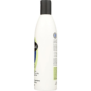 ShiKai Moisturizing Shampoo, 12-Ounces (Pack of 3)
