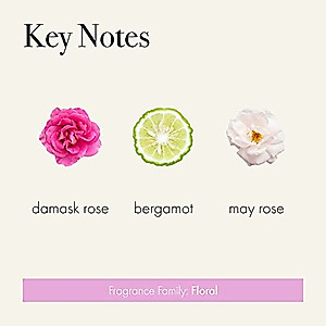 LAFCO New York Classic Candle, Blush Rose - 6.5 oz - 50-Hour Burn Time - Reusable, Hand Blown Glass Vessel - Made in The USA