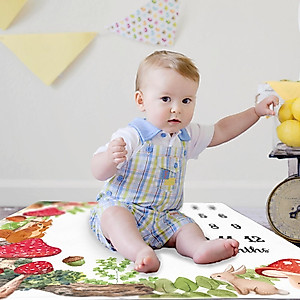 Mushroom Baby Stuff, Woodland Squirrels Baby Monthly Milestone Blanket for Newborn Photo Taken - Baby Age Blanket with 2 Frame