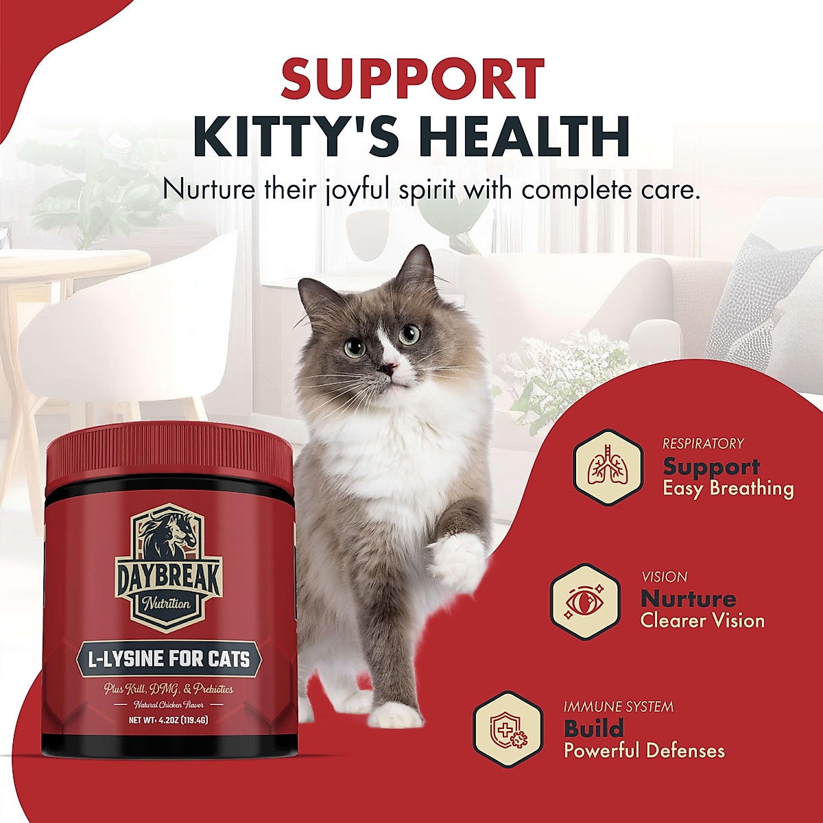 L-Lysine for Cats and Kittens - 900 mg L Lysine Powder for Cats for Immunity & Respiratory Support - Cat Supplement with L-Lysine, Prebiotics, Krill, & DMG for Immune System, Eye Health & Sneezing